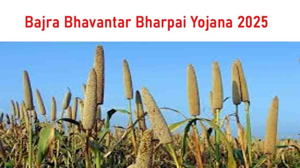 Bajra Bhavantar Bharpai Yojana 2025 : बाजरा और मूंग की खरीद शुरु, यहा ...